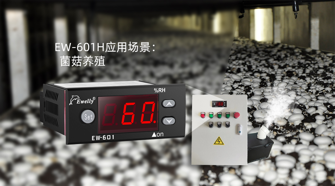 来自中国制造商的 EW-601H - 伊来利 自动控制